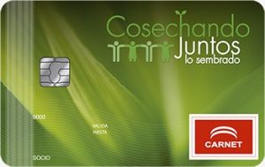 Tarjetas Carnet » iKiwi.com.mx