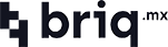 Briq.mx » iKiwi.com.mx